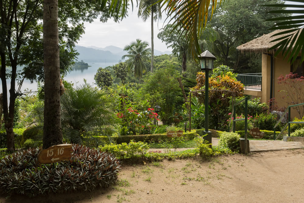 Gallery – Oruthota Chalets