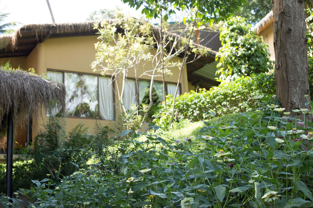 Gallery – Oruthota Chalets