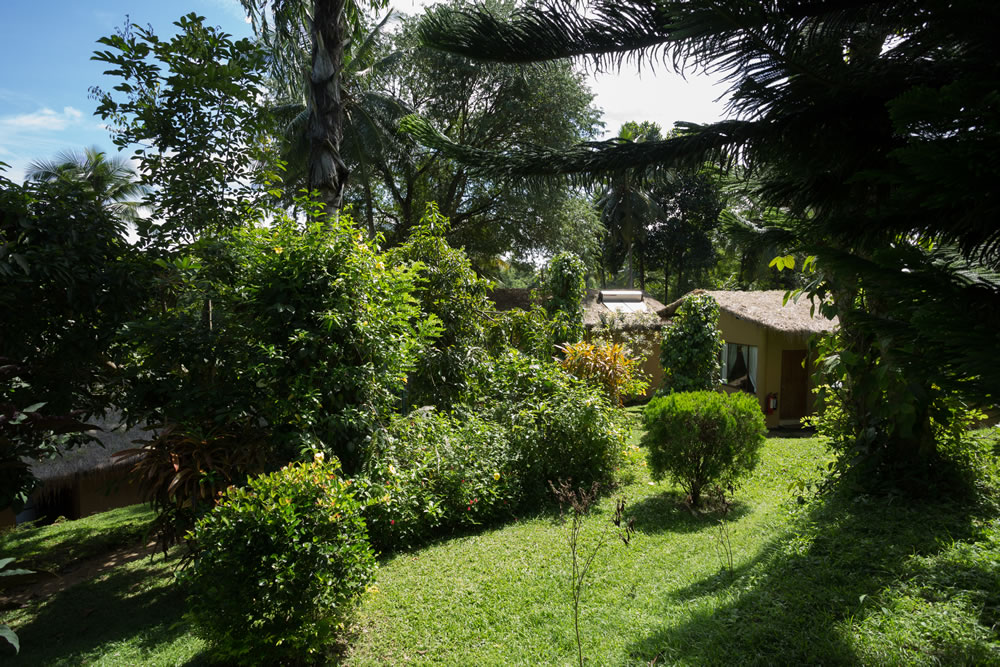 Gallery – Oruthota Chalets